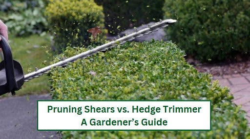 can you use a hedge trimmer to cut branches
